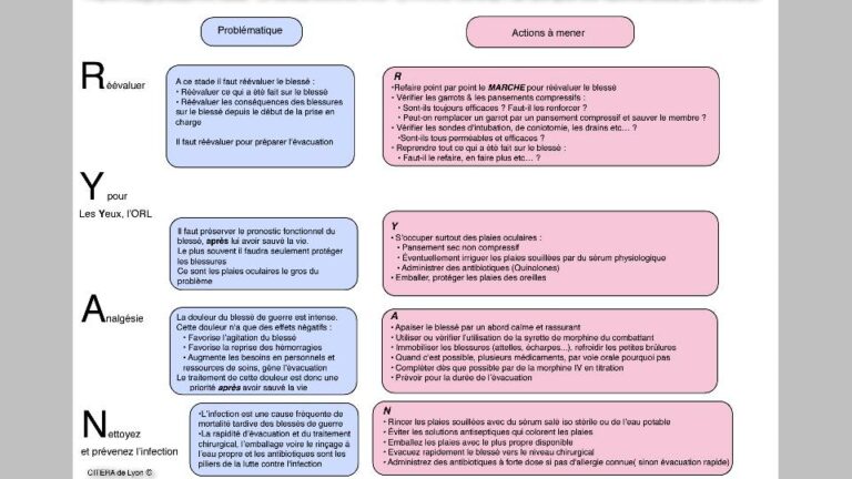 Secourisme tactique: Protocole SAFE MARCHE RYAN - Mouton-Résilient ...