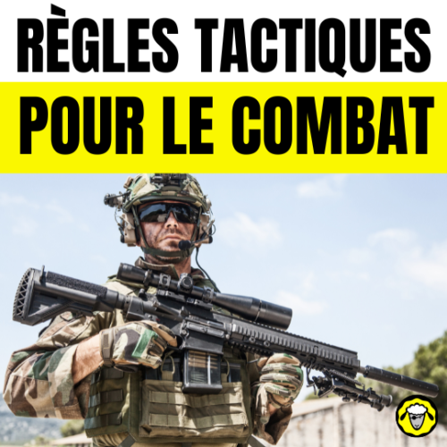 Règles de combat : techniques et stratégies pour la tactique militaire ...