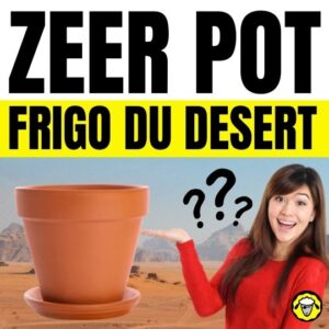 Zeer Pot : un frigo du désert écologique - Mouton-Résilient ...