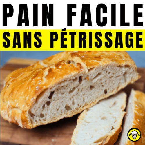Recette de pain rustique sans pétrissage - Mouton-Résilient ...